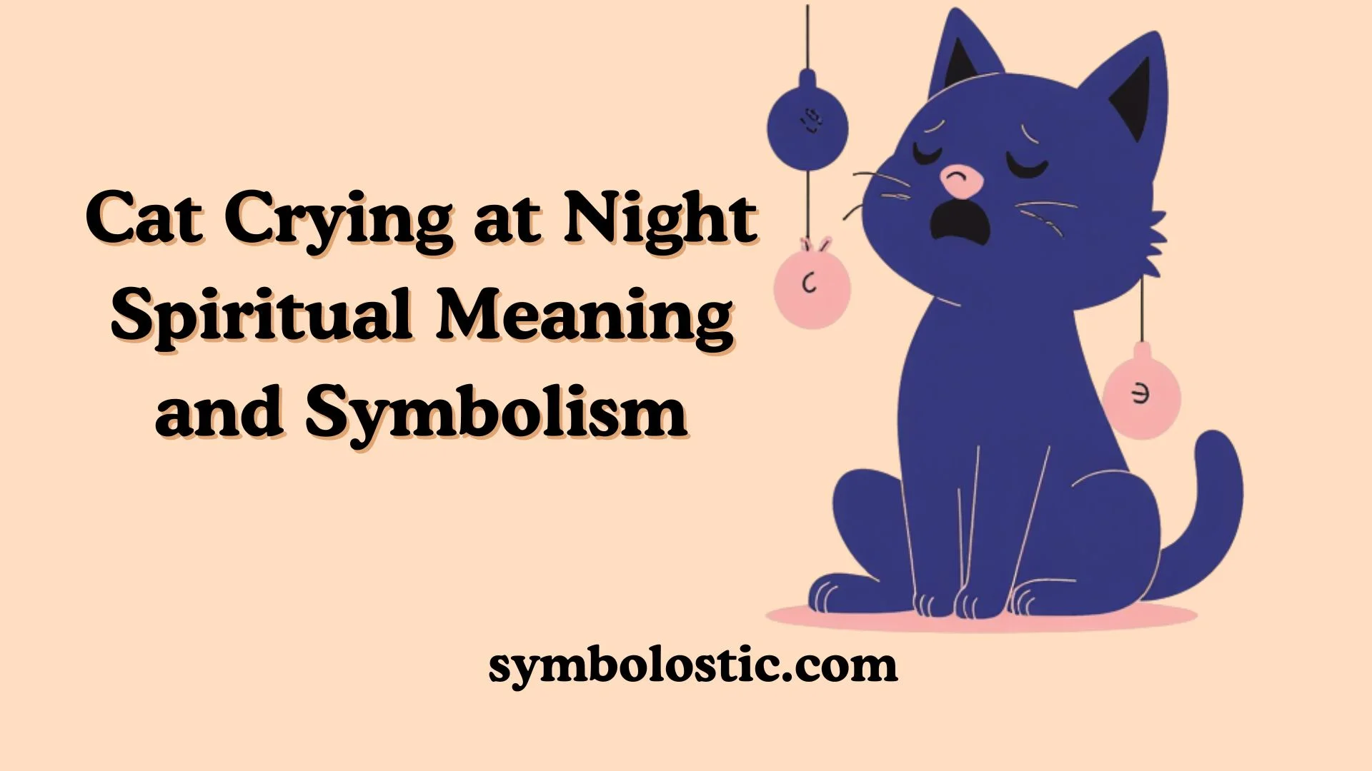 Cat Crying at Night Spiritual Meaning and Symbolism