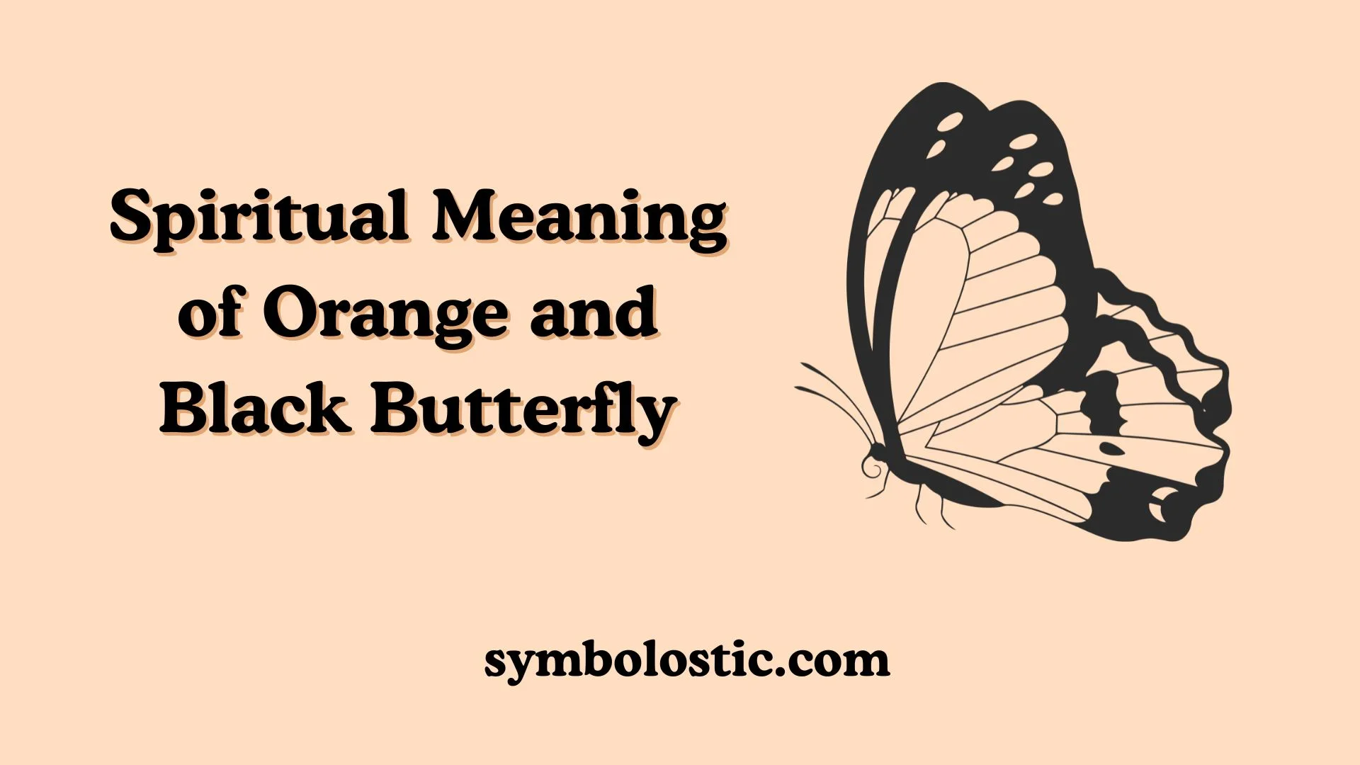 Spiritual Meaning of Orange and Black Butterfly