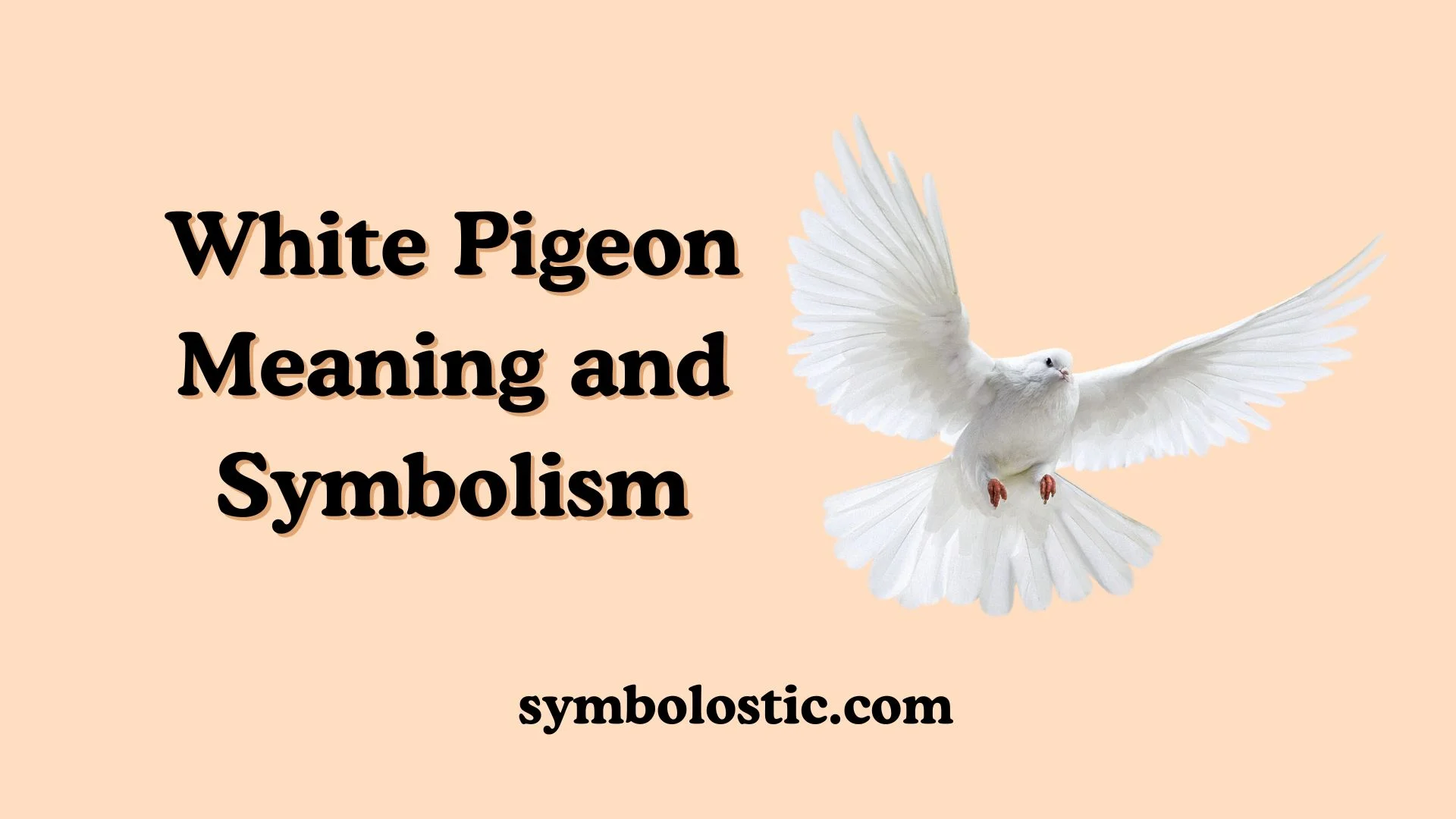 White Pigeon Meaning and Symbolism